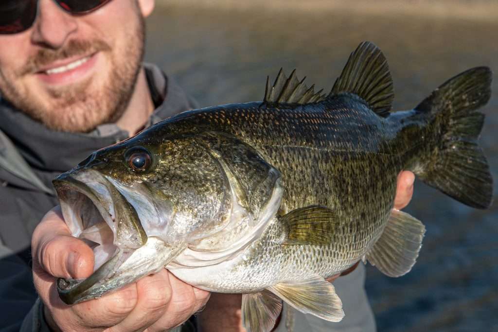 The Best Spots for Catching Fall Bass - B8LAB Fishing Blog