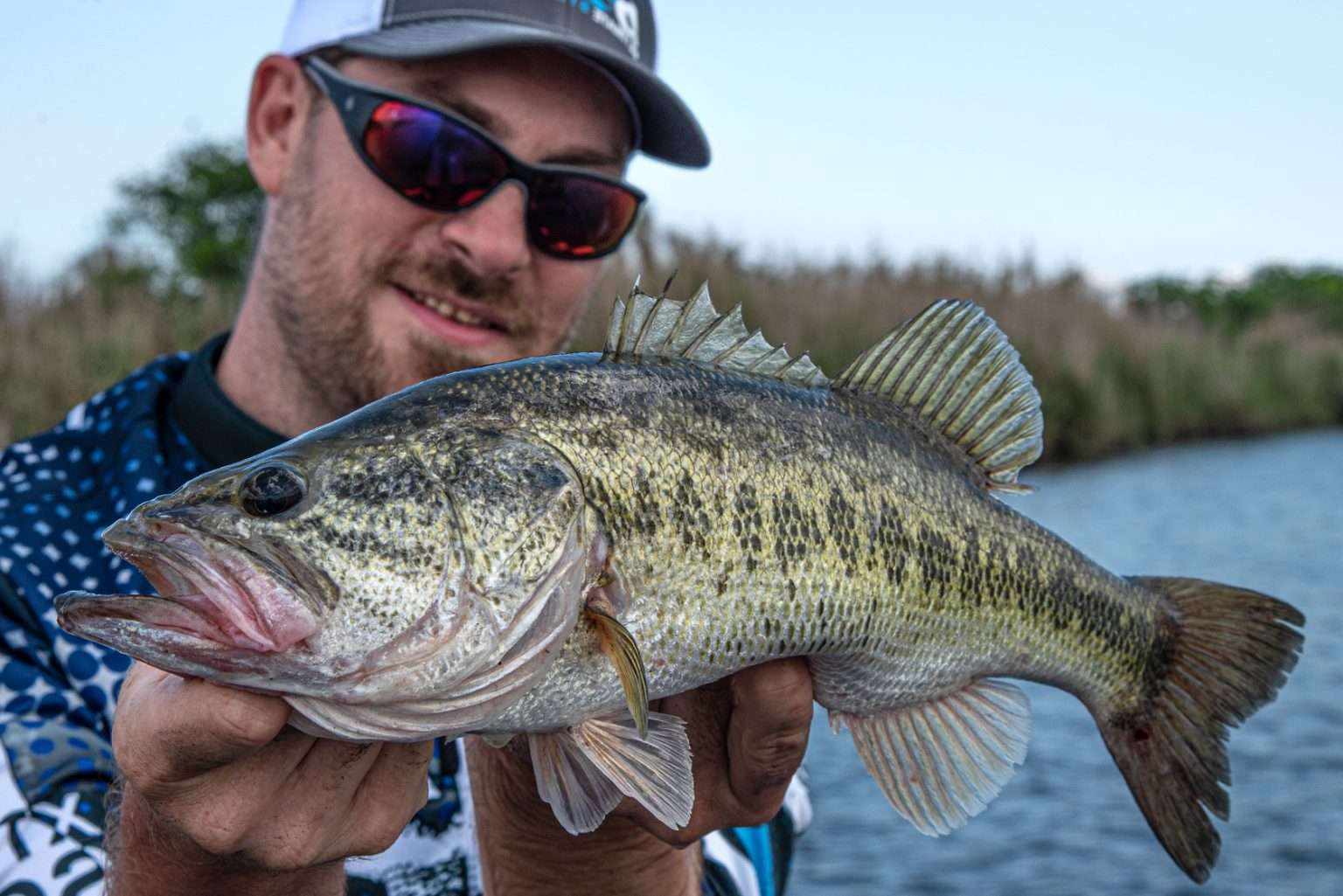 50 Fun Facts About Largemouth Bass - B8LAB - Cast. Catch. Conquer.™