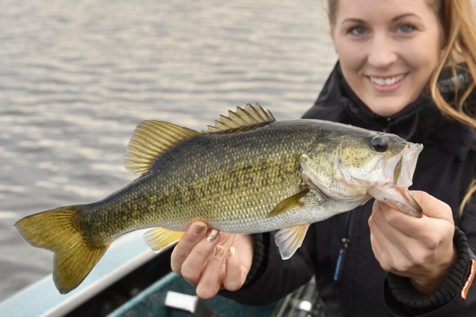 Largemouth Bass: The Ultimate Guide to Understanding this Iconic Fish ...