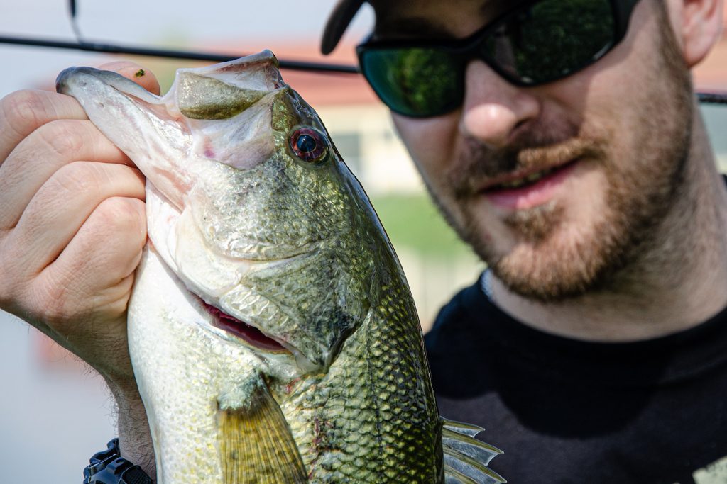 How to Catch Spawning Largemouth Bass - B8LAB Fishing Blog