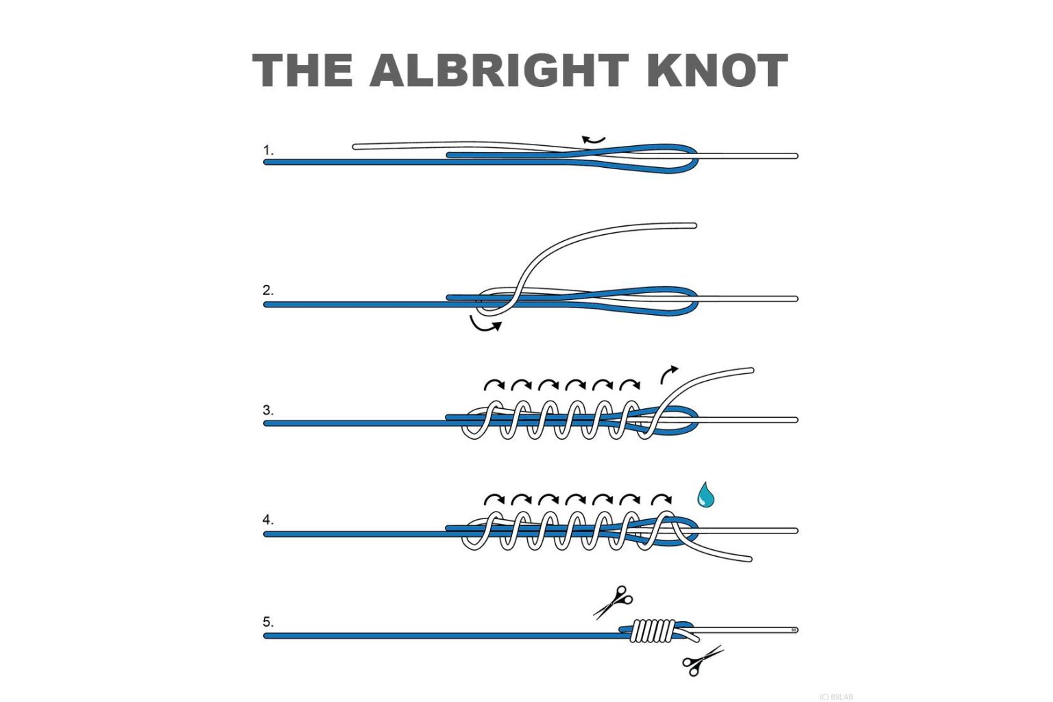Fishing Knots: The Albright Knot - Ultimate Guide - B8LAB Fishing Blog