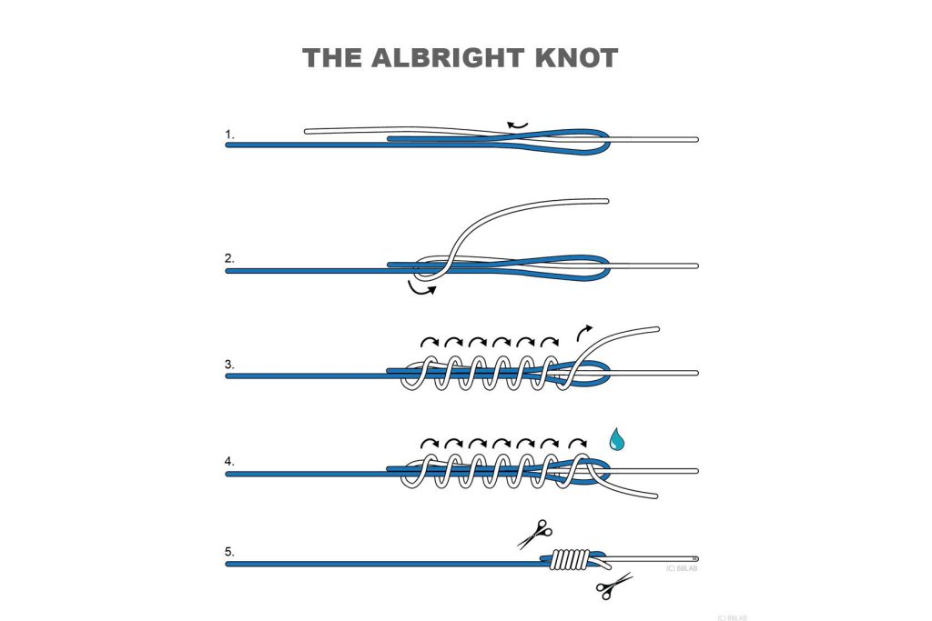 Fishing Knots: The Albright Knot - Ultimate Guide - B8LAB - Cast. Catch ...
